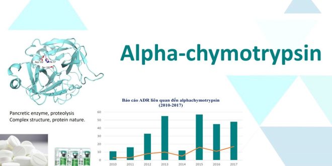 Alphachymotrypsin: Đánh giá lợi ích và nguy cơ trước khi sử dụng